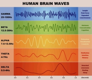 What are Brainwaves and Why Do they Matter? – Indy Neurofeedback